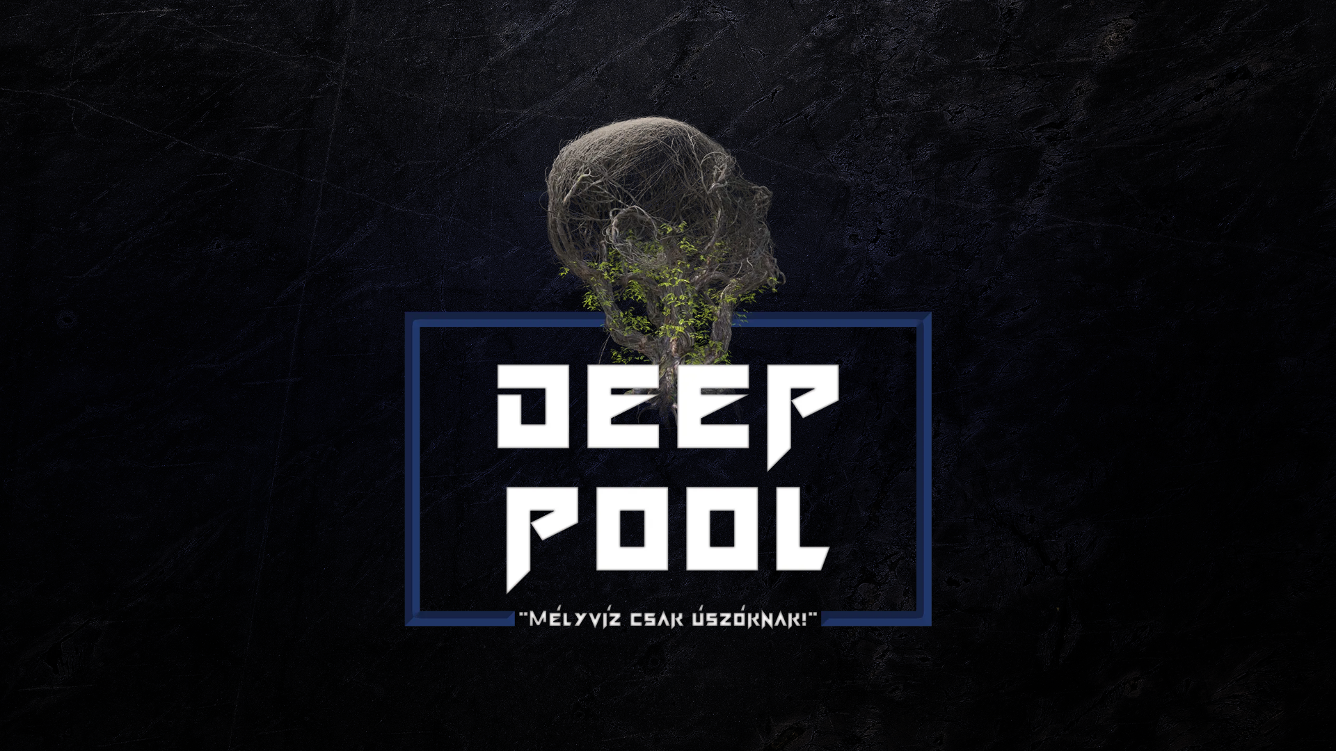 Deep Pool 2023. – Deep Pool